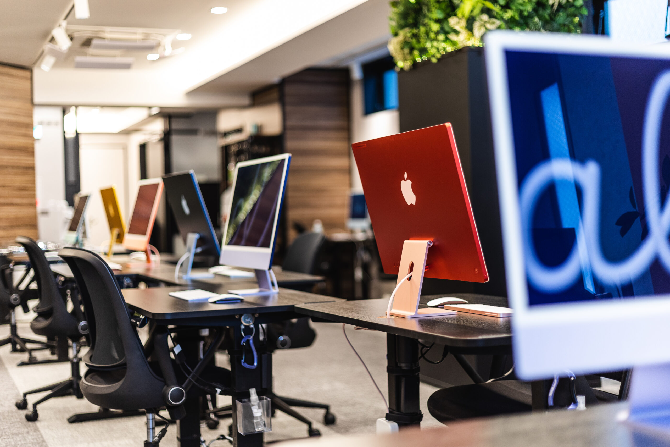 12/01(月)『GIF-TECH’s 板橋区役所前』設立4周年のお知らせ | WellsTech inc.